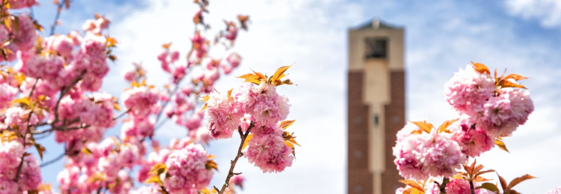 Admissions | Appalachian State University